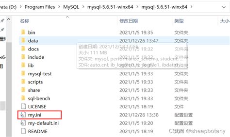 secure file priv为null且修改无效问题 secure file priv null csdn博客