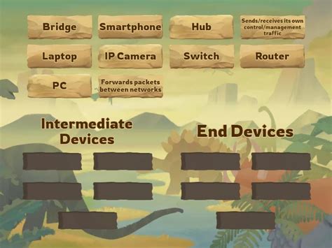 Unit 9 Lesson1 Activity 6 Intermediate Devices Vs End Devices Group Sort