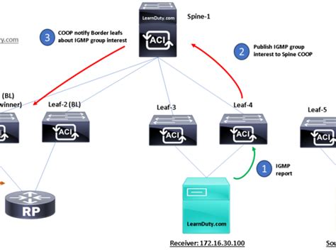 Ospf Header Format And Packets Types Explained With Wireshark Captures Learn Duty