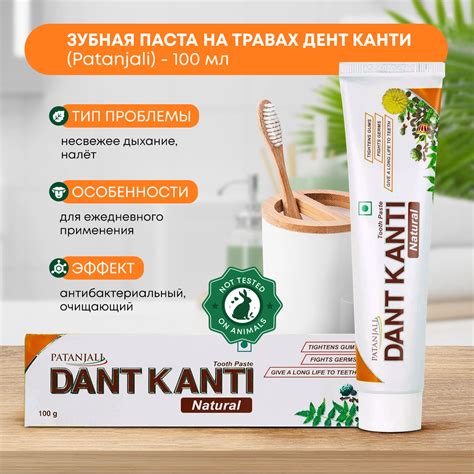 Индийская Паста – купить в интернет-магазине OZON по выгодной цене
