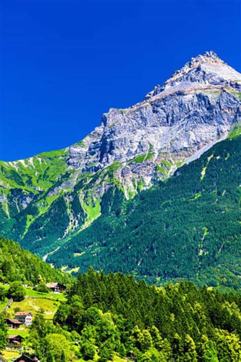 Pahalgam नहीं जम्मू कश्मीर के इन हसीन जगहों पर टूरिस्ट के लिए No Entry