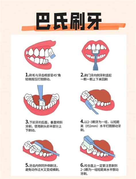 巴氏刷牙法步骤图解