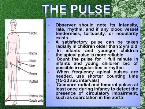 The Pulse And Deep Tendon Reflex Grading Scale Pptx