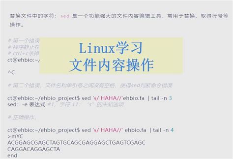 Linux系统解压gz文件常见任务，掌握方法有何价值？ Linux命令大全手册