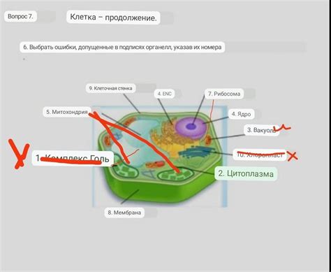 Срочно нудно знать дам 45 балов Школьные Знания Com