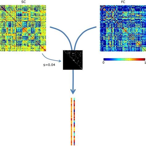 Sub Networks As Derived From A Modularity Analysis Of The Mean