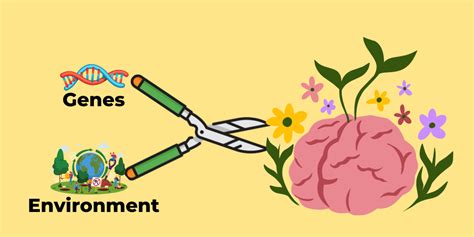 5 Things To Know About Synaptic Pruning Happiest Health