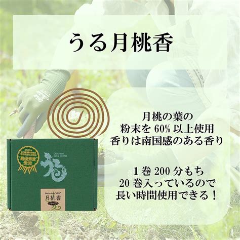 生活の木 Tree Of Life