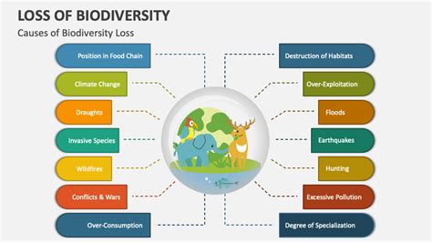 Biodiversity Loss Causes