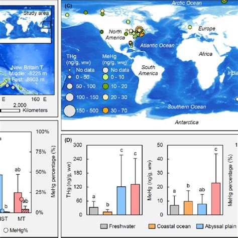 Pdf Methylmercury Bioaccumulation In Deepest Ocean Fauna Implications For Ocean Mercury