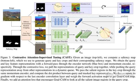 对比学习中正样本对设计问题 知乎