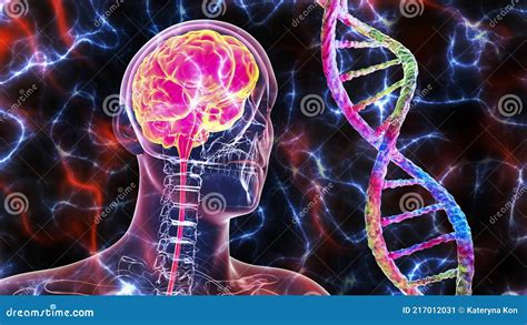Genetic Brain Disorders Conceptual 3d Illustration Mutations In The