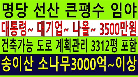 낙찰 충남 금산군 금성면 대암리 5 1임야26012㎡786863평 싼임야 소나무 송이산 활용성 좋은 편안한 명당터 선산용 자연인 땅과함께새희망을경매임야공매임야