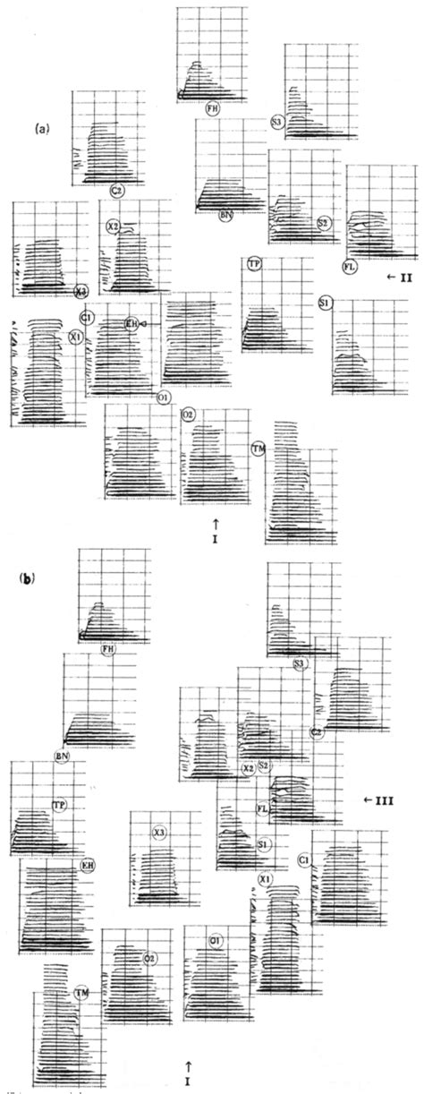 Figure 3 From Multidimensional Perceptual Scaling Of Musical Timbres Semantic Scholar