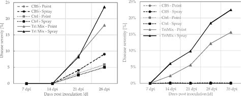 Figure 3 From Pathogenicity Of Trichoderma Afroharzianum In Cereal