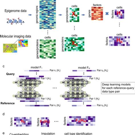 Integration Of Scrna Seq And Single Cell Spatial Transcriptomics Data
