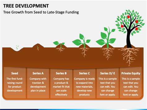 Tree Growth Stages Diagram