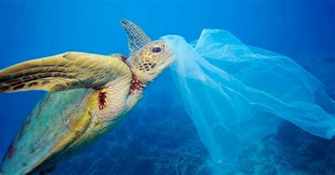 이대로 가면 2040년엔부산 플라스틱 회의 너무나 중대한 이유