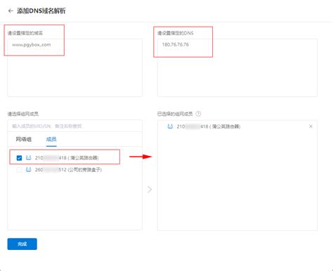 DNS解析功能说明与使用步骤 贝锐官网