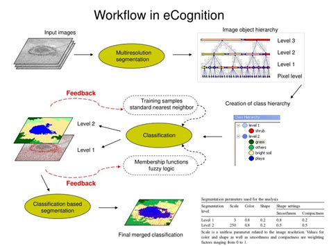 Ppt Object Oriented Classification Powerpoint Presentation Free Download Id4111605