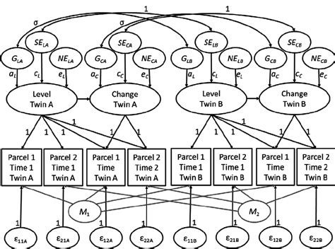 Latent Crossed Lagged Regression Model This Figure Illustrates The