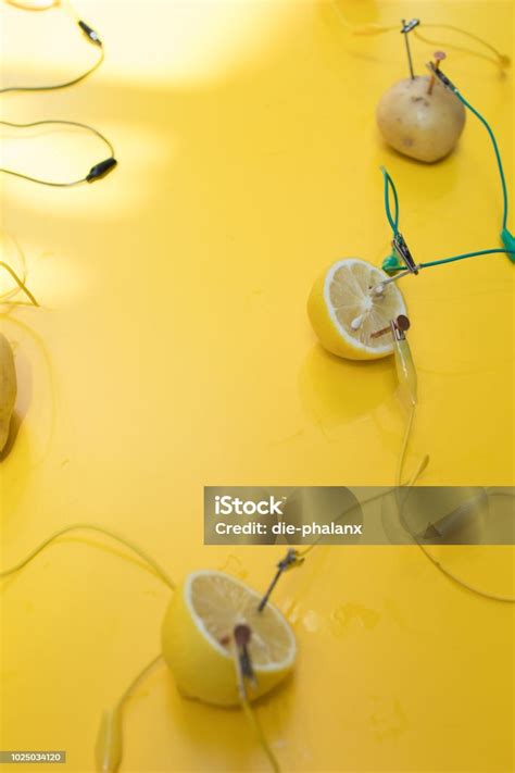 감자 배터리 감자 레몬 악어 클립 아연 구리 손톱 줄기 활동 Stem 주제에 대한 스톡 사진 및 기타 이미지 Stem 주제 건강관리와 의술 과일 Istock