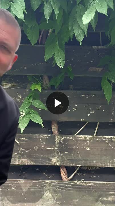 2 Dr Stefan Schaefer 🔸