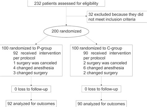 recruitment randomization and patient flow diagram of the trial