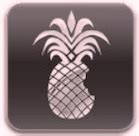 Jailbreak IOS 4 3 3 With Redsn0w Guide