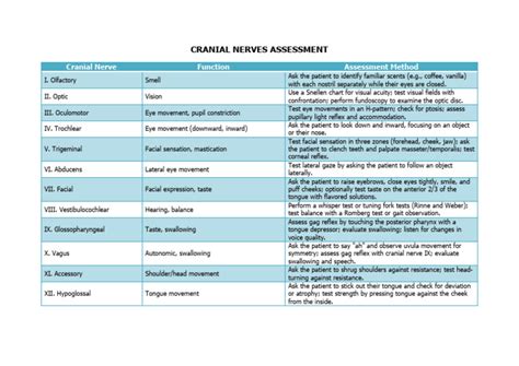 Cranial Nerves Assessment Pdf Human Anatomy Nervous System