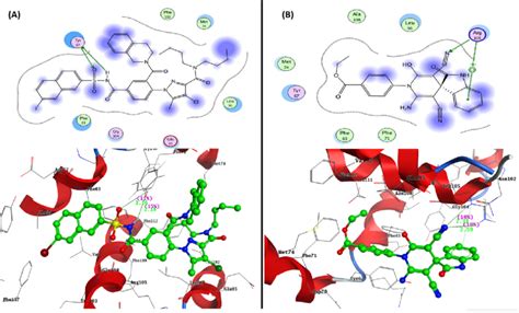 Representation Of The 2d And 3d Binding Modes Of A Co Crystallized