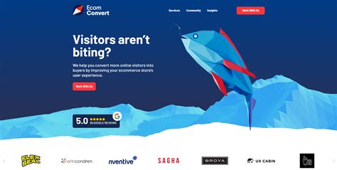 Ecom Convert Insights Conversion Rate Optimization Cro