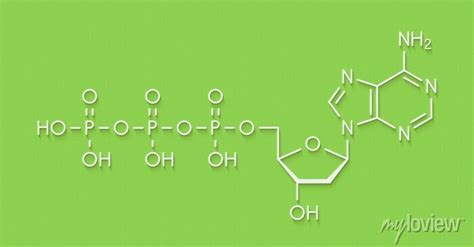 Deoxyadenosine Triphosphate Datp Nucleotide Molecule Dna Building