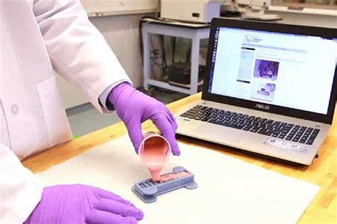 Build Your Own Bot — Harvard Gazette