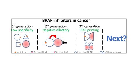 Current Insights Of Braf Inhibitors In Cancer Journal Of Medicinal Chemistry