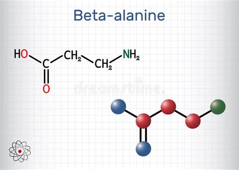 β — 丙氨酸分子 天然产生β氨基酸 结构化学公式分子模型 页面 向量例证 插画 包括有 平面 蛋白质 301332641
