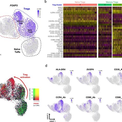 Integrated Single Cell Targeted Multi Omics Approach Identifies A