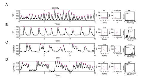 Line Intensity Profile Interpeak Interval Ipi Poincare P Vs P1 Download Scientific