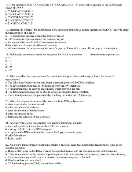 Solved 16 If The Sequence Of An RNA Molecule Is Chegg Com