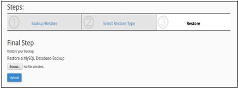 Cpanel Backup Wizard