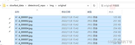 Slowfast训练自己数据 保姆级教程 看这一篇就够了 Csdn博客