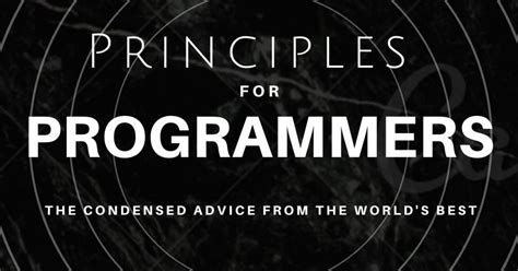 principles for programmers book by andreineagoie of zero to mastery