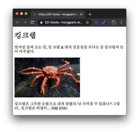 텍스트와 이미지 그림으로 배우는 html css 입문