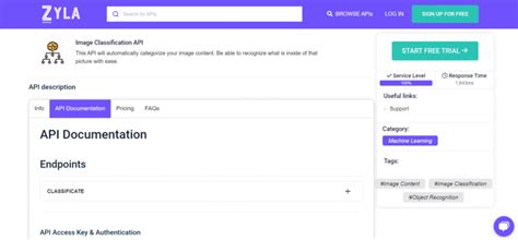 What Is Image Classification Api And How To Use It