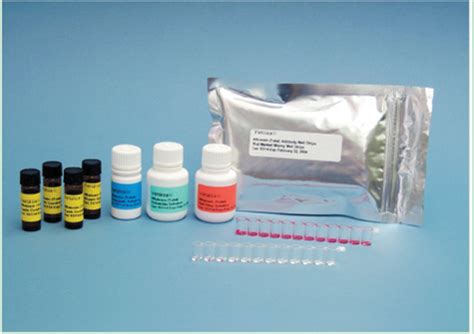 Aflatoxin Test Kit Reveal For Aflatoxin By Thermalindo