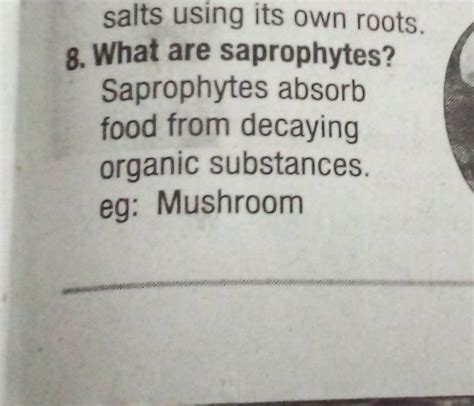 Salts Using Its Own Roots 8 What Are Saprophytes Saprophytes Absorb Fo
