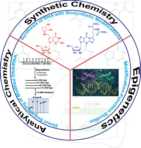 The Zhang Lab Exploring The Roles Of Rna Modifications The Next Scientific Frontier