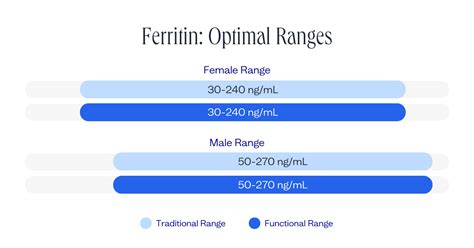 Iron And Ferritin Levels The Dynamic Duo Behind Your Health Keyspan