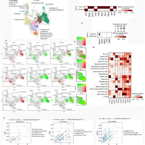 Expression Of Genes Involved In Activated Protein C Apc Signaling In