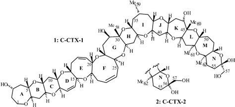 Structure Of Two Caribbean Ctxs C Ctx 1 And 2 [m 1 H] 1 M Z 1141 7 Download Scientific